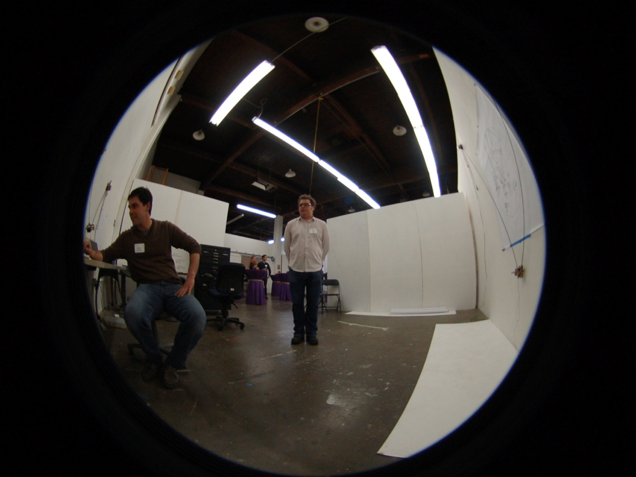 Convex Mirror | ROBERT TWOMEY